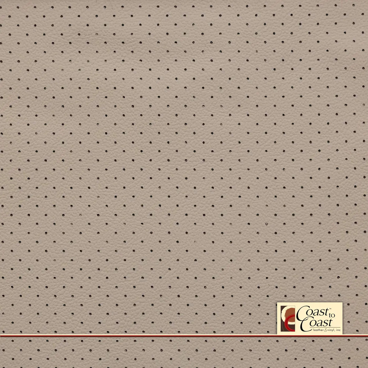 Buy TOYOTA ALABASTER Leather wholesale price at Coast2CoastLeather