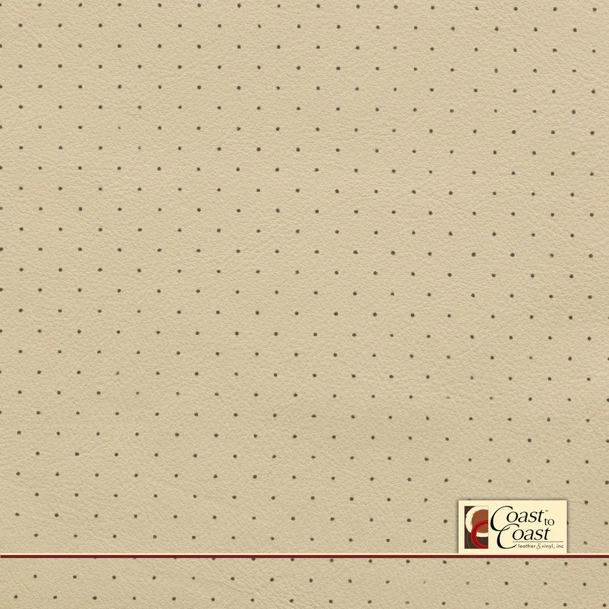 Buy TOYOTA/LEXUS RICH CREAM Leather wholesale price at Coast2CoastLeather