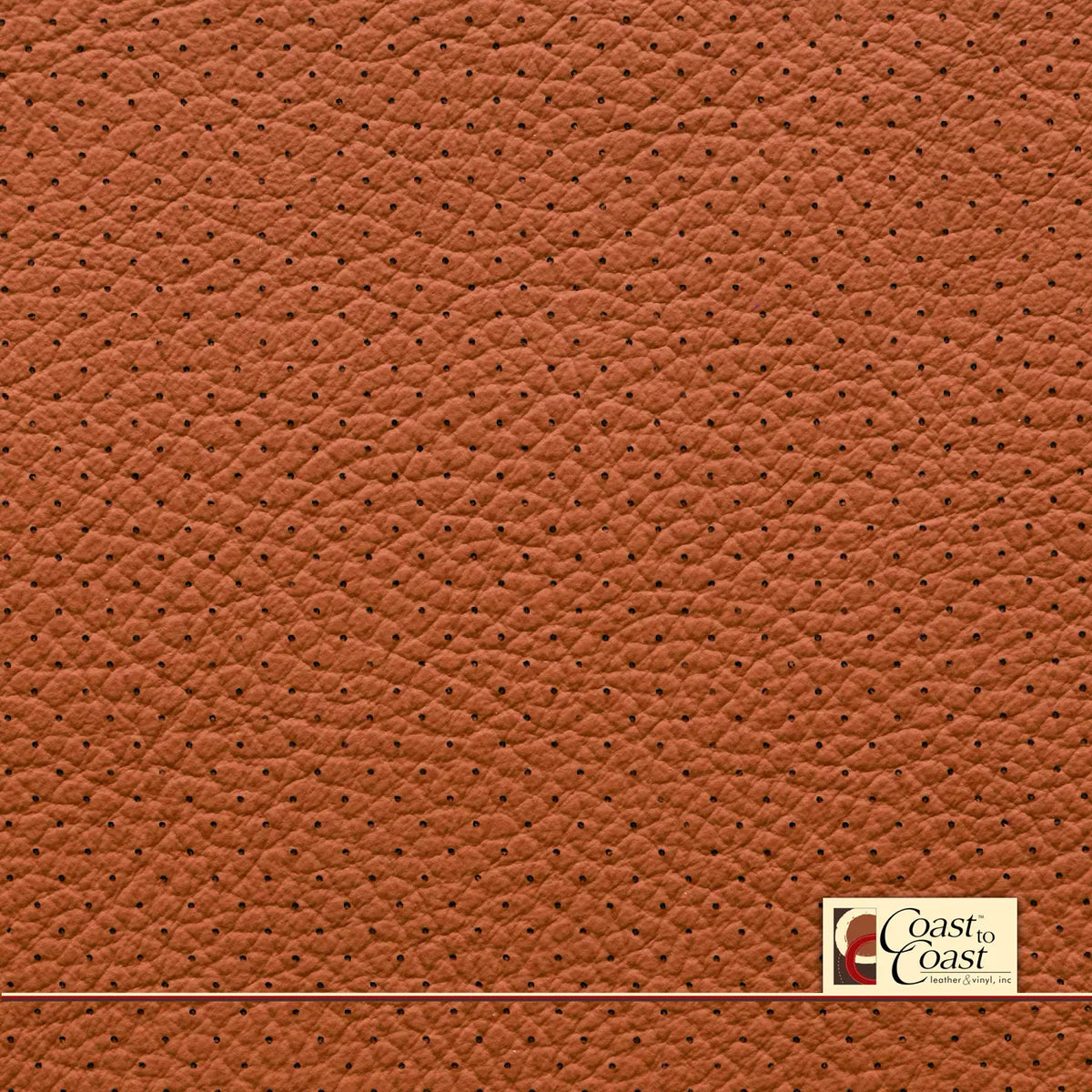 Buy MERCEDES SIENNA BROWN Leather wholesale price at Coast2CoastLeather