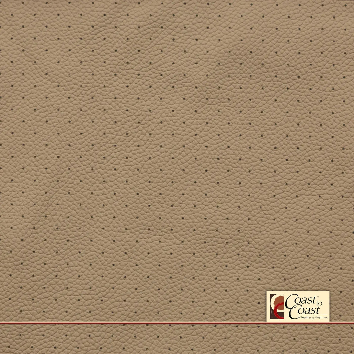 Buy HONDA LT IVORY Vinyl wholesale price at Coast2CoastLeather