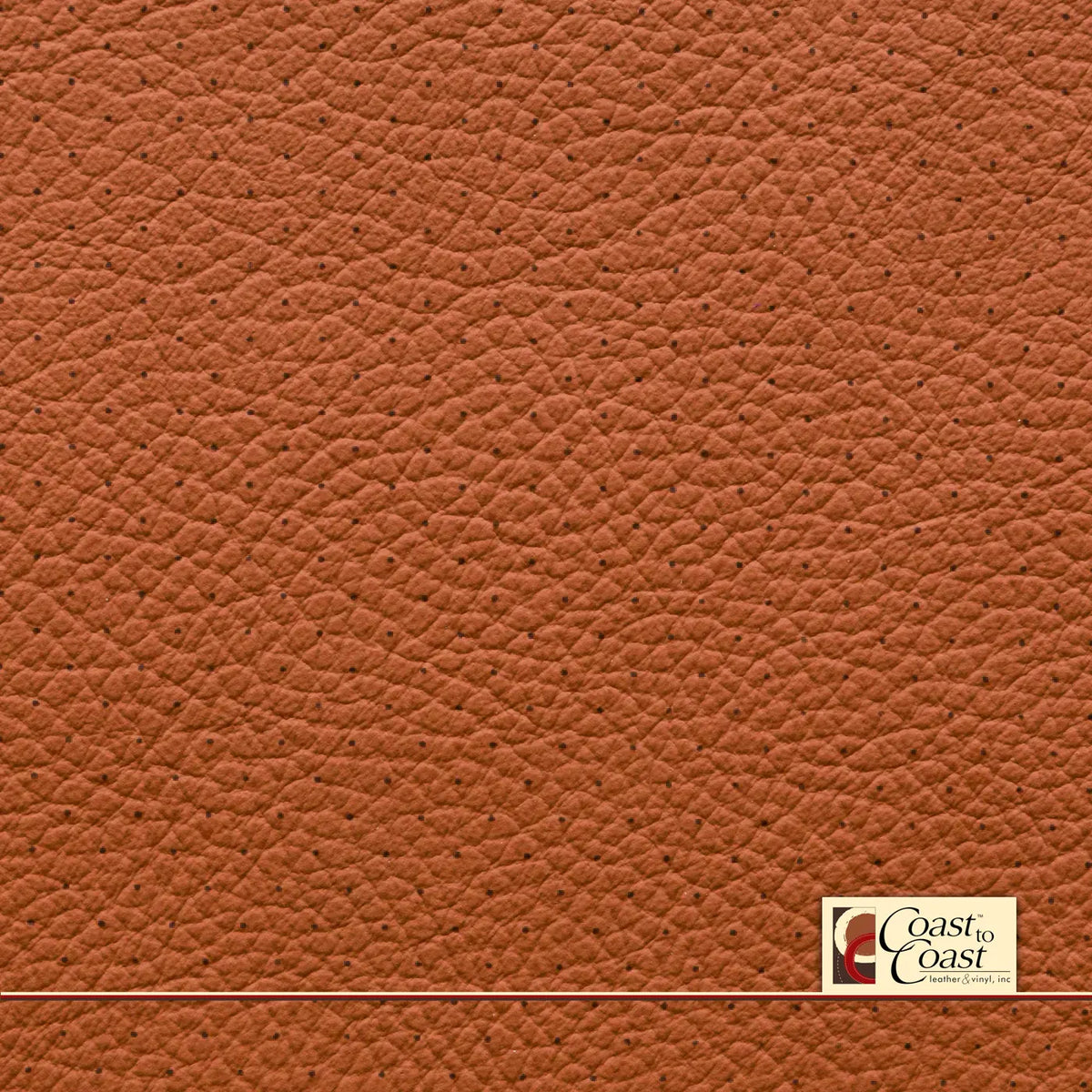 Buy MERCEDES SIENNA BROWN Vinyl wholesale price at Coast2CoastLeather