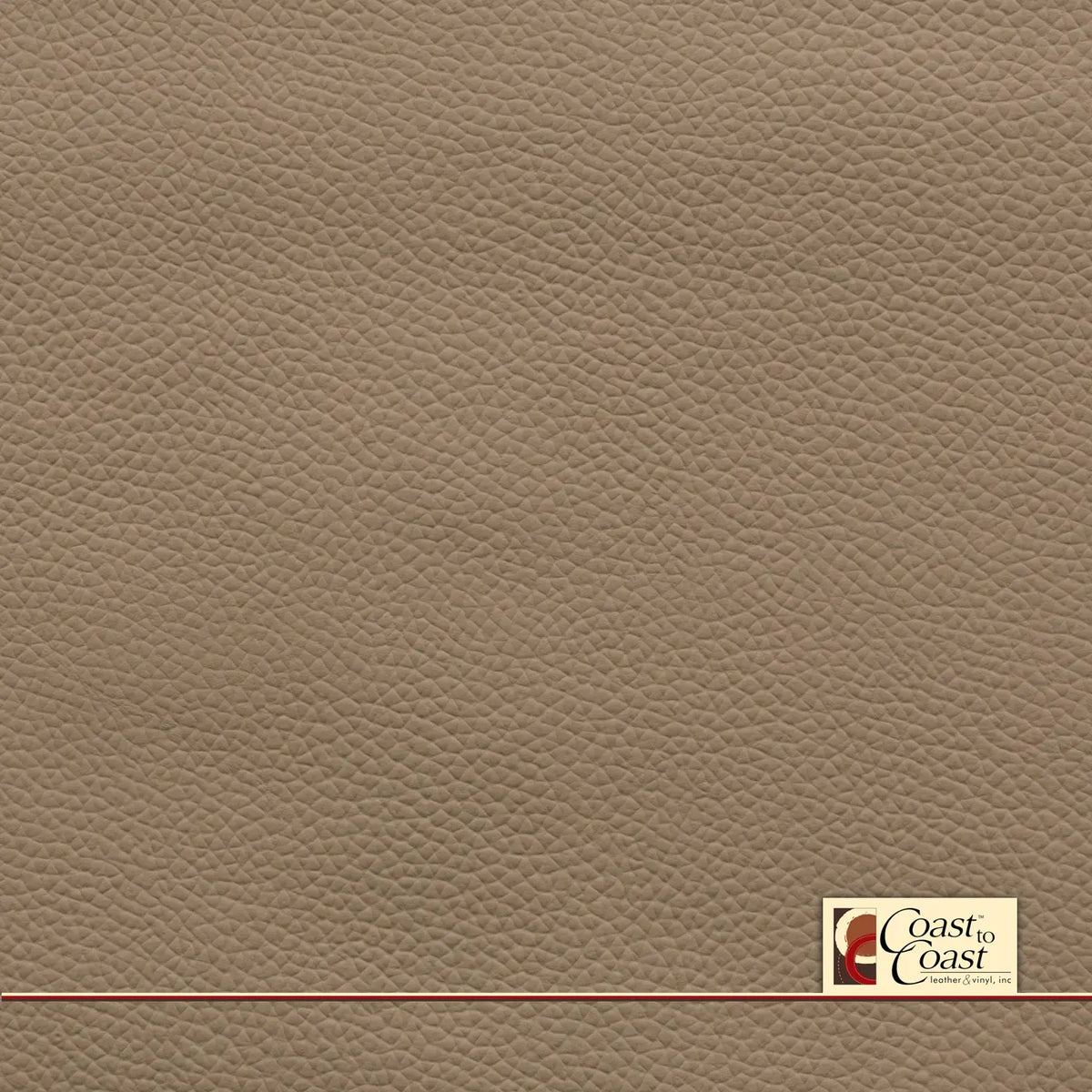Buy GM CHAI BEIGE Leather wholesale price at Coast2CoastLeather