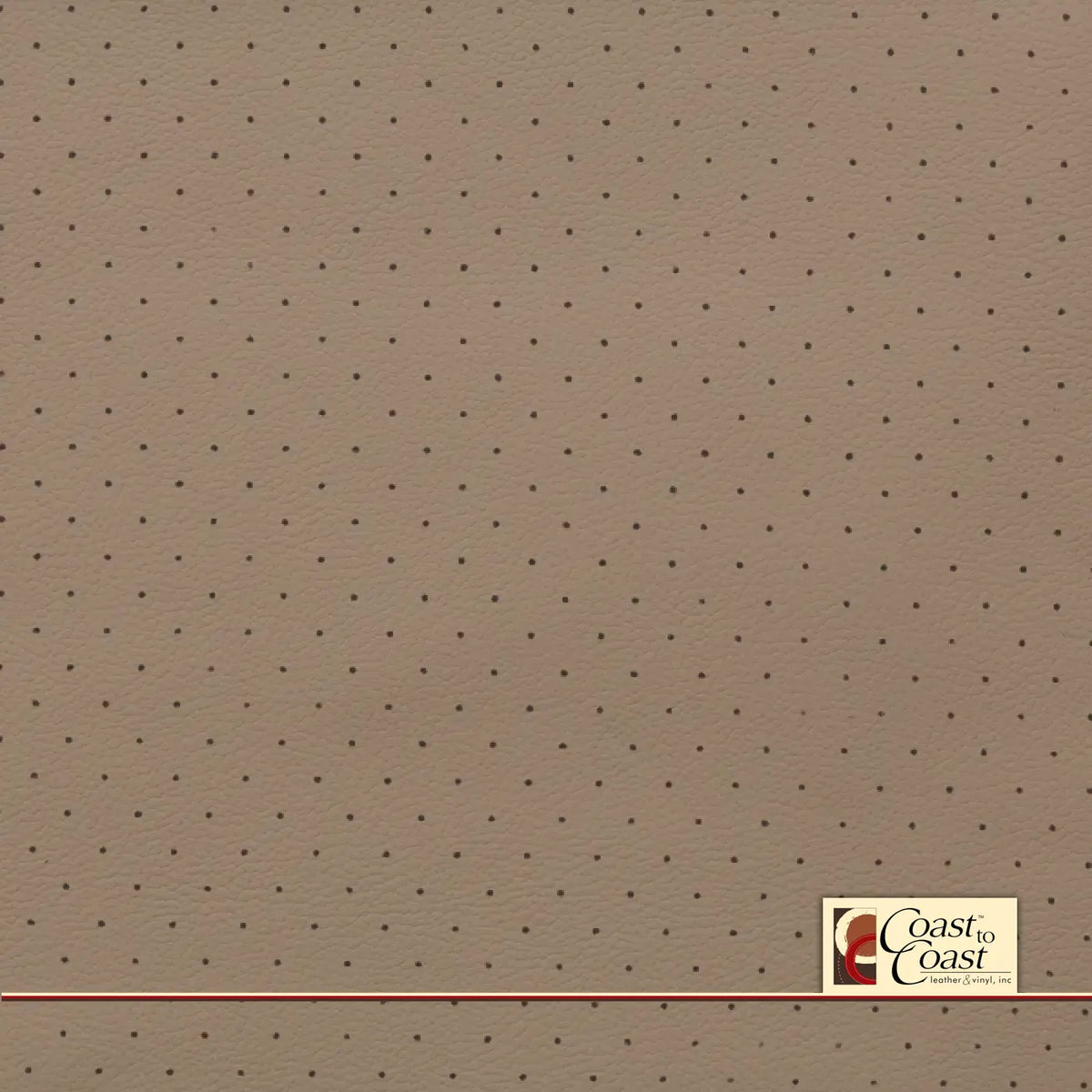 Buy FORD CAPPUCCINO Vinyl wholesale price at Coast2CoastLeather