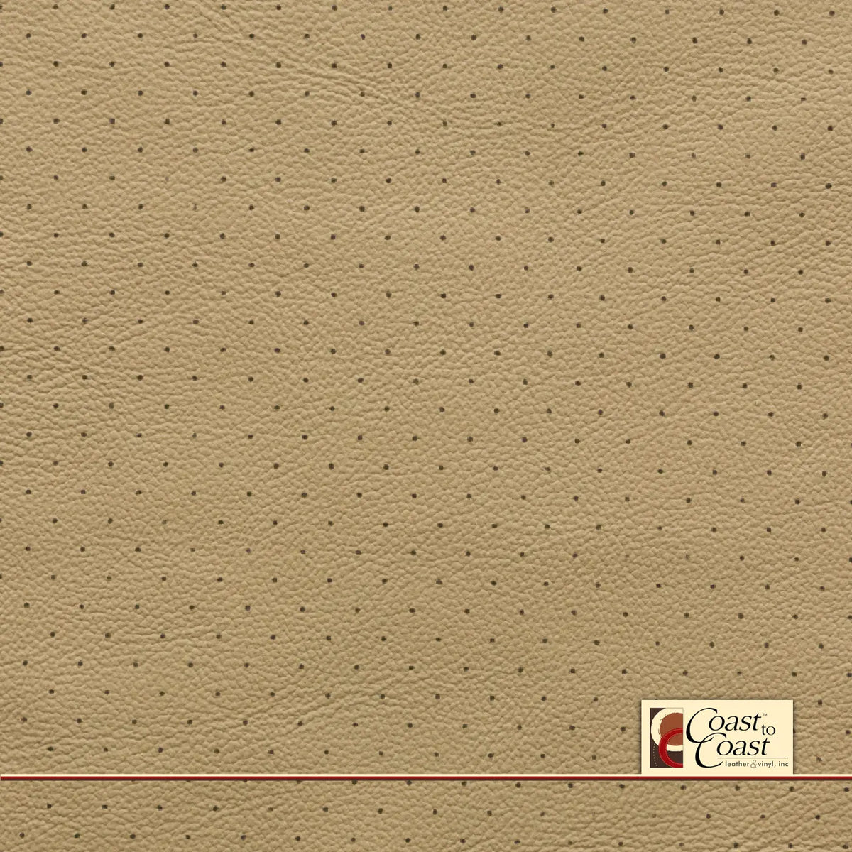 Buy NISSAN SAND Vinyl wholesale price at Coast2CoastLeather